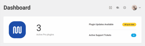 WPMU DEV Dashboard User Guide for Site and Network Management